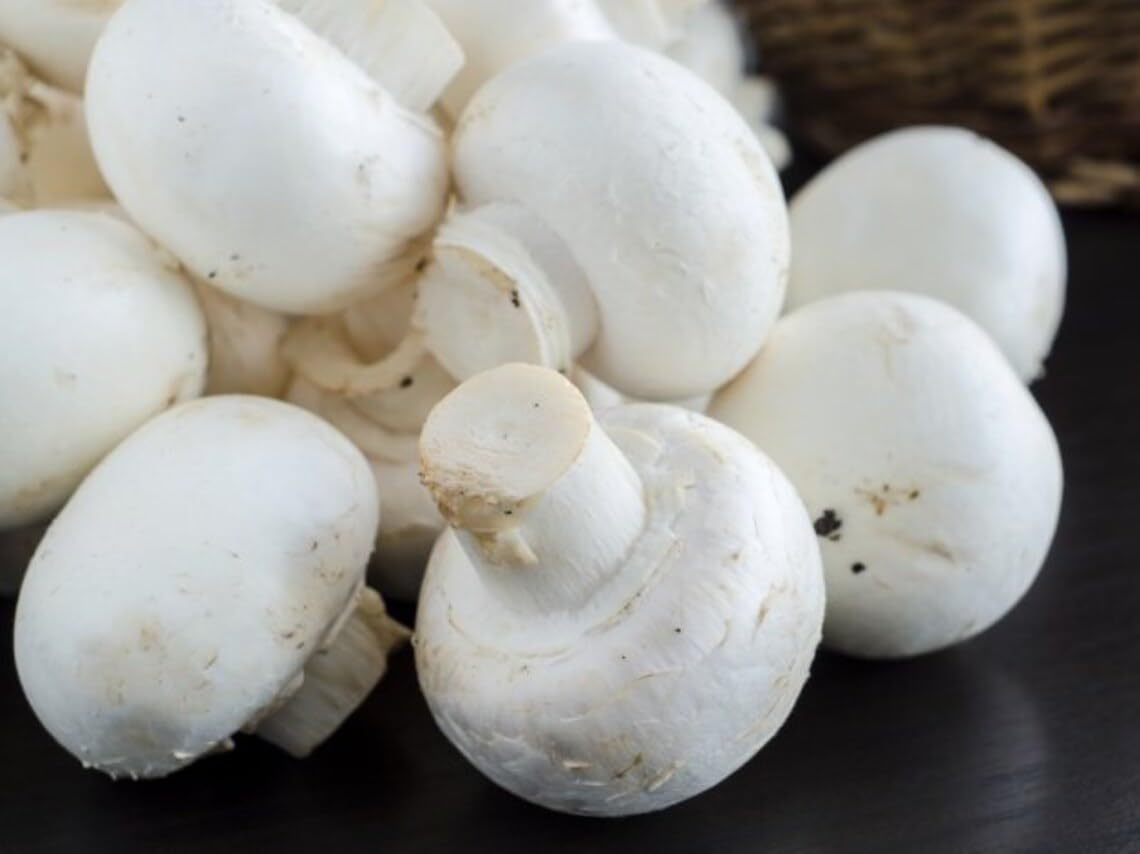 Button Mushroom Seeds & Mushroom Spawn | Agaricus Bisporus